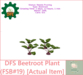 Second Life Marketplace - DFS Beetroot Plant (FSB#19) [Actual Item ...