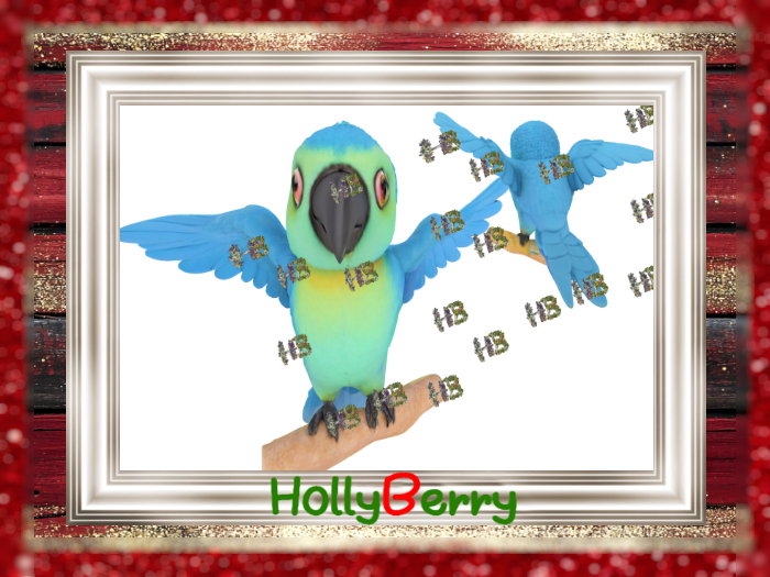 Second Life Marketplace - HB: Parrot Bird E FuLL PERM