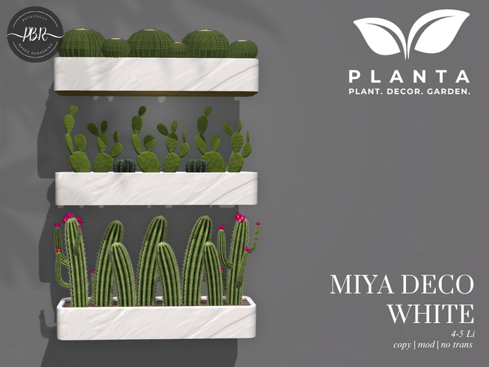 Second Life Marketplace - Planta - Miya Deco White