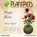 Second Life Marketplace - PlantPet Seed [Petite Rose *Rhett Butler*]