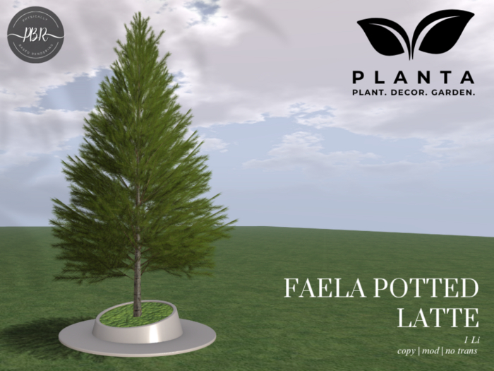 Second Life Marketplace - Planta - Faela Potted Latte