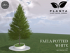 Second Life Marketplace - Planta - Faela Potted White