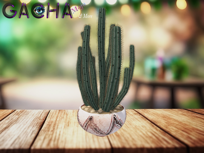 Second Life Marketplace - 05 UA: Prickly Place - Large Cactus Box