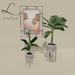 Second Life Marketplace - LouChara Marisol Plants and Wall Art
