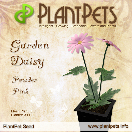 Second Life Marketplace - PlantPet Seed [Garden Daisy *Powder Pink*]