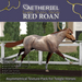 Second Life Marketplace - { AETHERIEL } Super Sheen: Red Roan Teegle ...