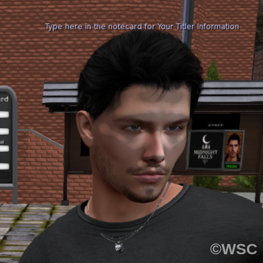 Second Life Marketplace - Roleplay Titler (WSC) V.1