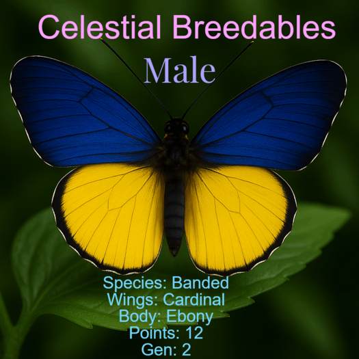 Second Life Marketplace - Celestial Breedables [CBB Egg] - Male