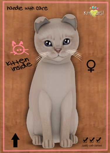 Second Life Marketplace - KittyCatS Box - Abyssinian - Cream Female 5T