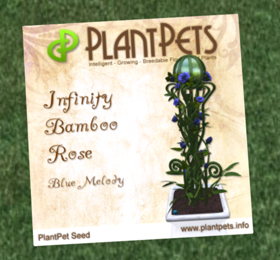 Second Life Marketplace - Infinity Bamboo Rose Blue Melody Breedable ...