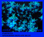 Second Life Marketplace - PARTICLE SPIDERISH DEFLATE BLUE