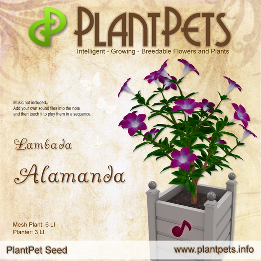 Second Life Marketplace - PlantPet Seed [Alamanda *Lambada*] common