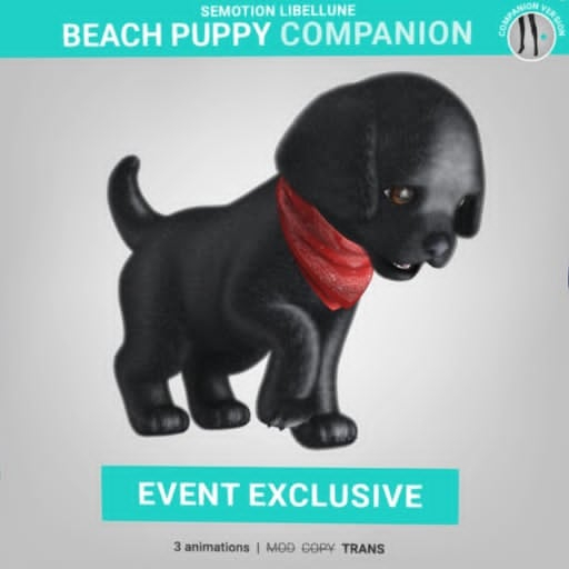 Second Life Marketplace - SEmotion Libellune Beach Puppy Companion ...