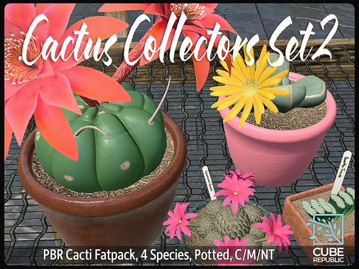 Second Life Marketplace - PBR Cacti Collectors Set 2, Succulent House ...