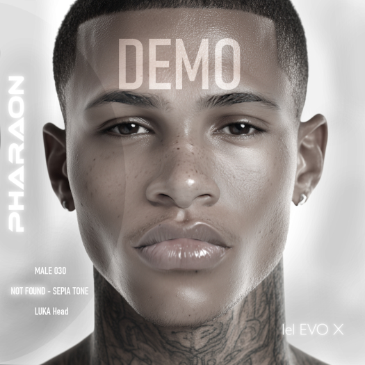 Second Life Marketplace - PHARAON - MALE 030 / DEMO