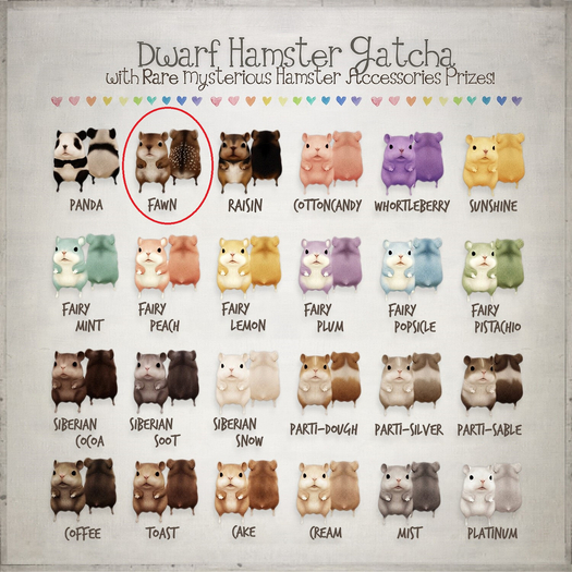 Second Life Marketplace - ::BB:: Dwarf Hamster Gacha (BOXED) Fawn