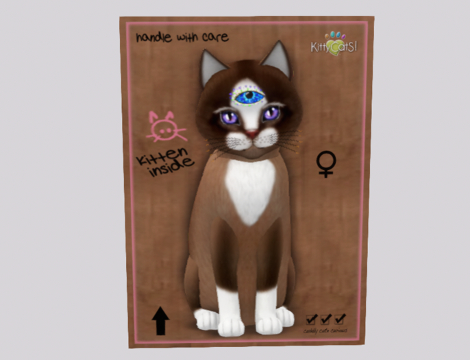 Second Life Marketplace - Female Breedable Chateau Cat - Toffee Caramel ...