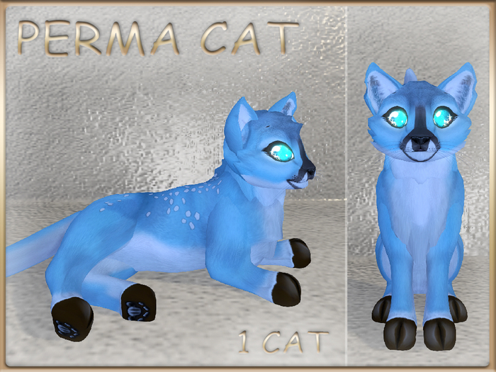 Second Life Marketplace - Stray Cats - PERMA CAT 1037798 SkyBlue (F)