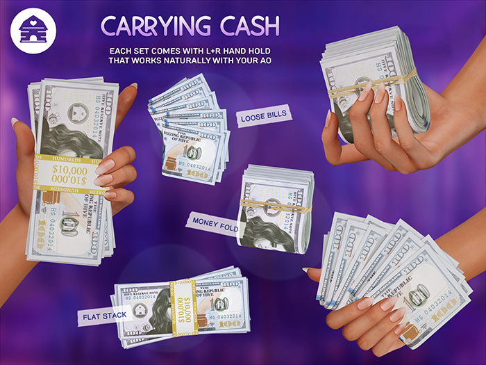 Second Life Marketplace - hive // carrying cash pack