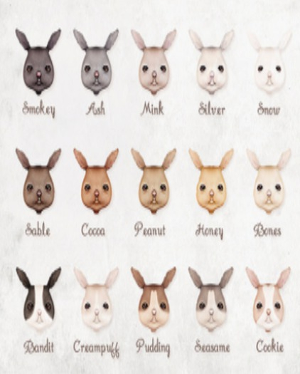 Second Life Marketplace - BB:: Winter Bunny Gacha (Cocoa)