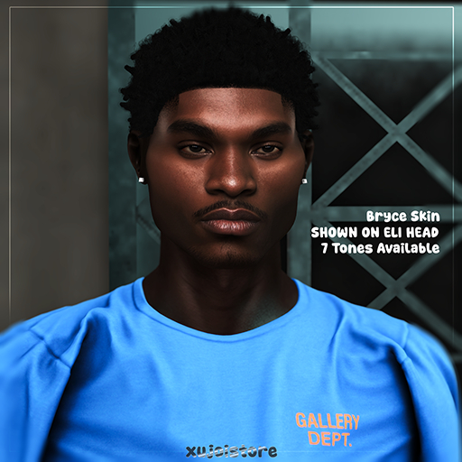 Second Life Marketplace - [x.s] BRYCE SKIN - ELI HEAD - DEMO