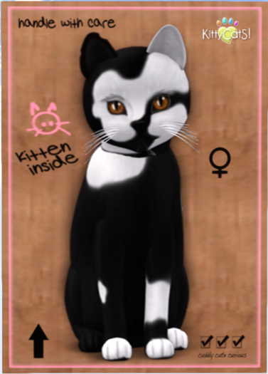 Second Life Marketplace - KittyCatS Box - Chateau Cat - Black & White No. 2