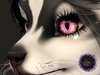 Second Life Marketplace - Glow Eyes Vulpine Head