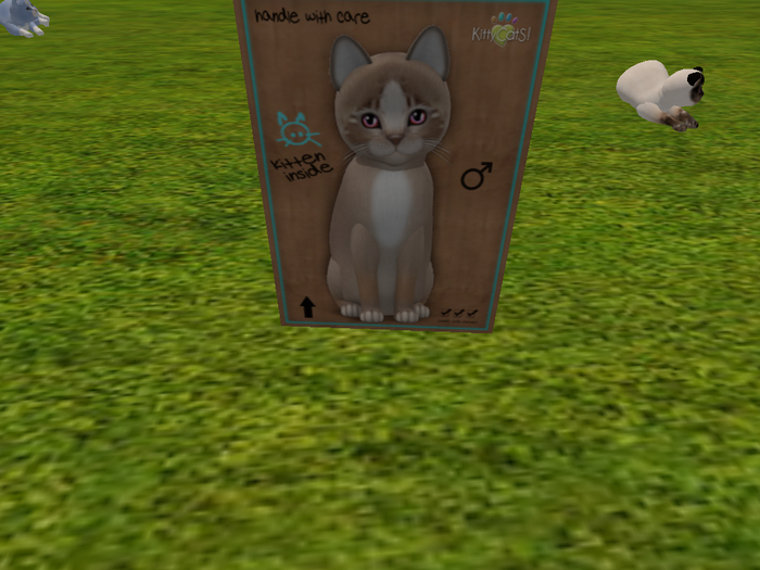 Second Life Marketplace - KittyCatS Box - Iris