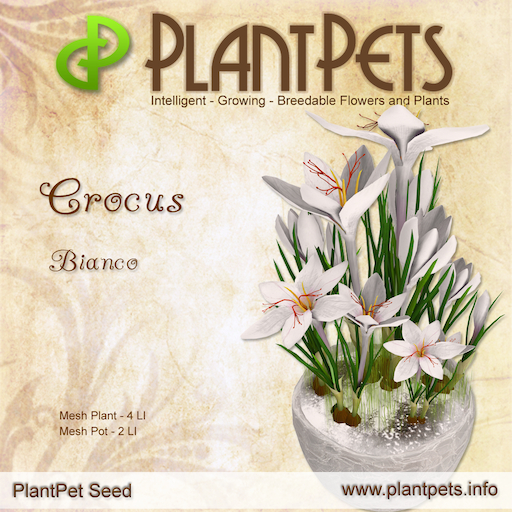 Second Life Marketplace - PlantPet Seed [Crocus *Bianco*] Common