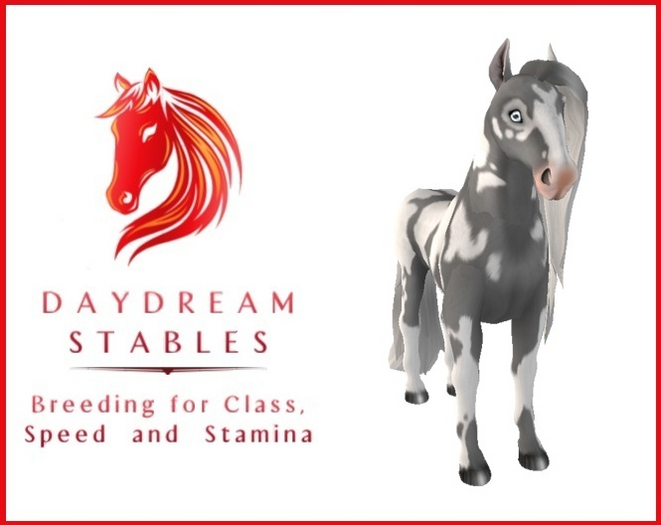 Second Life Marketplace - Female Silver Pinto Speed/Stamina Class D ...