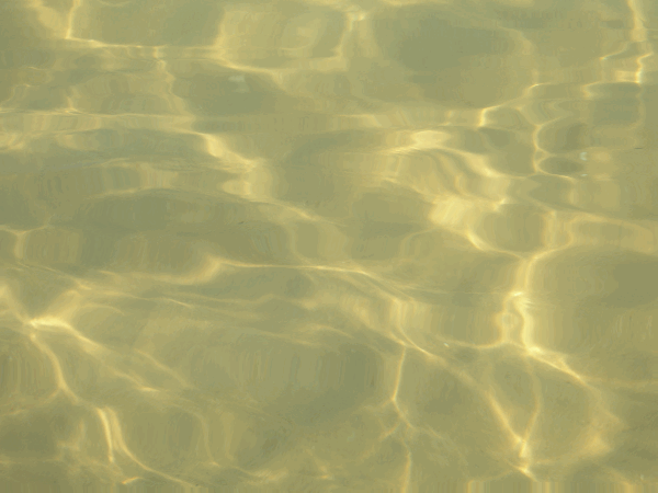 Second Life Marketplace - Animated Water