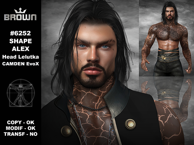 Second Life Marketplace - 6252 SHAPE ALEX Head Lelutka CAMDEM EvoX