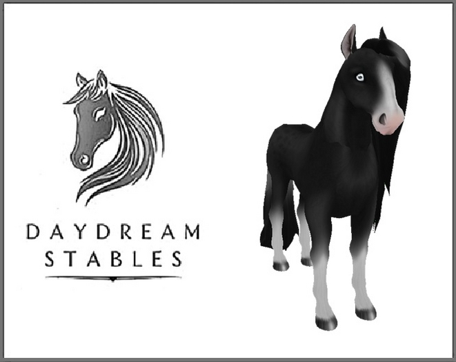 Second Life Marketplace - MALE Black Arabian Bundle LL Lightning Silver ...