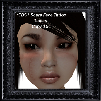 Second Life Marketplace - *TDS* Scars Face Tattoo Unisex DEMO