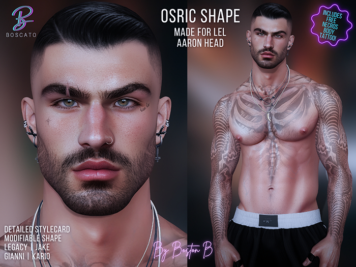 Second Life Marketplace - Osric Mens Shape for Lelutka Aaron Head ...