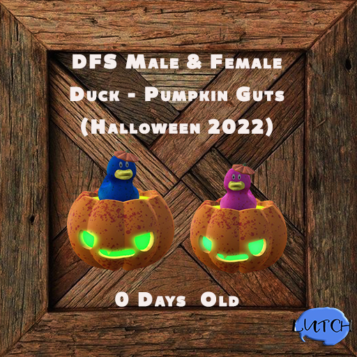 Second Life Marketplace - DFS Male & Female Duck - Pumpkin Guts ...