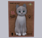 Second Life Marketplace - Female Breedable Cat KittyCatS Beautiful ...