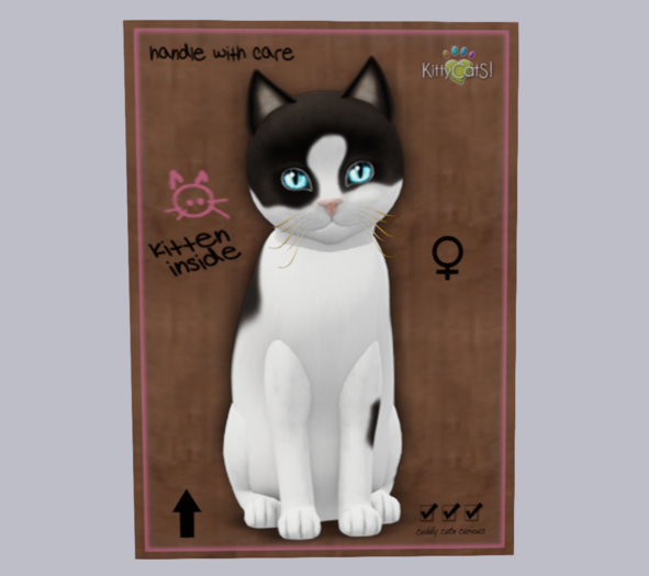 Second Life Marketplace - Female BIG Breedable Chateau Cat - Cocoa ...