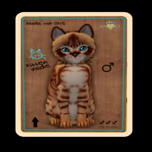 Second Life Marketplace - KittyCatS Box - New Born Kitten