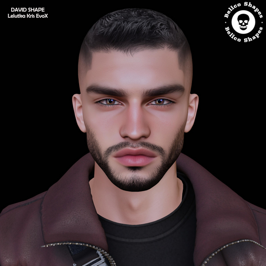 Second Life Marketplace - Belico Shapes David LeLUTKA Kris Head 4.0