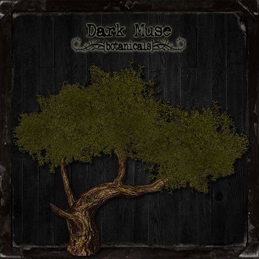 Second Life Marketplace - ||- PROMO SALE -|| COPIABLE/ONLY 4 PRIMS ...