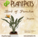 Second Life Marketplace - PlantPet Seed [Bird of Paradise *Reginae*] Common