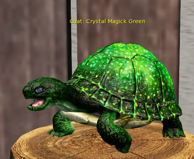 Second Life Marketplace - Female Breedable Turtle Foxtrot Crystal ...