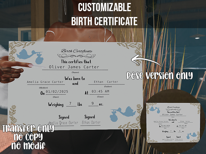 Second Life Marketplace - Customizable Birth Certificate - Pack of 5 ...