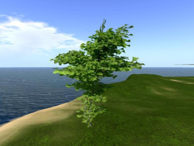 Second Life Marketplace - Arkads 1 Prim Ginkgo Ginkgo biloba v2
