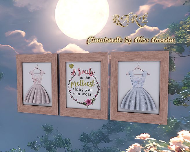 Second Life Marketplace - 2. NACH Pretty Things Art Frames RARE