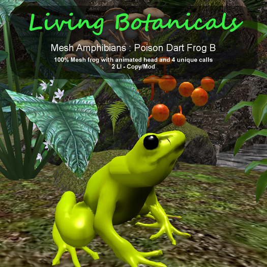 Second Life Marketplace - Inochi Botanicals - Poison Dart Frog B