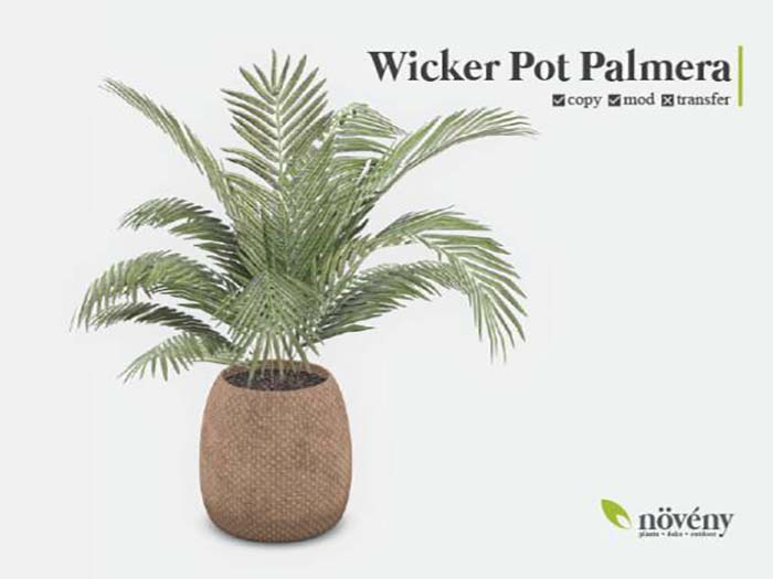 Second Life Marketplace - Noveny - Wicker Pot Palmera - AddMe