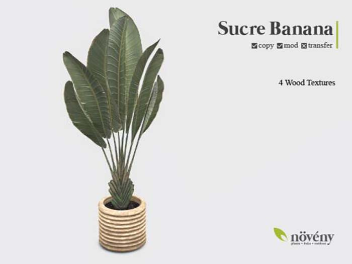 Second Life Marketplace - Noveny - Sucre Banana - AddMe