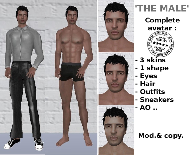 Second Life Marketplace - ' THE male ' complete avatar!
